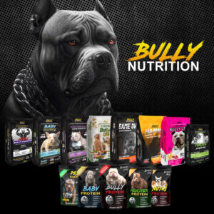 Bully Nutrition – Site Oficial